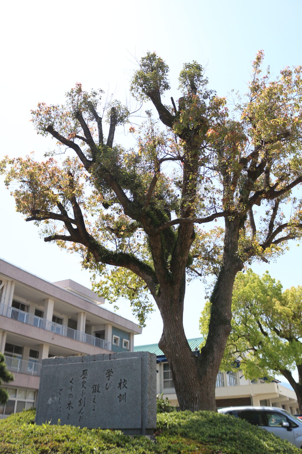 CASE01｜高校教職員向け「データサイエンス教育研修」実施後インタビュー | 株式会社Rejoui